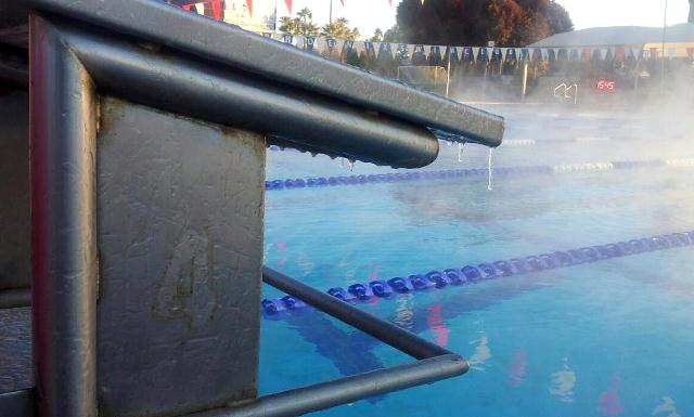 Freezing Temps Don't Deter GCU Swim Teams at Morning Workout - GCU News