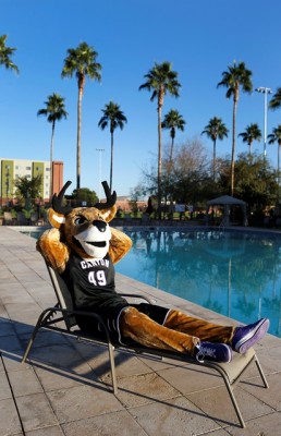 10 things to know about life on campus this fall - GCU News