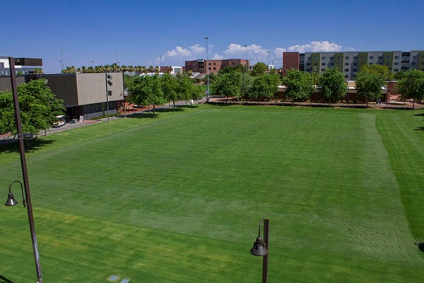 The Grove, other projects near completion - GCU News
