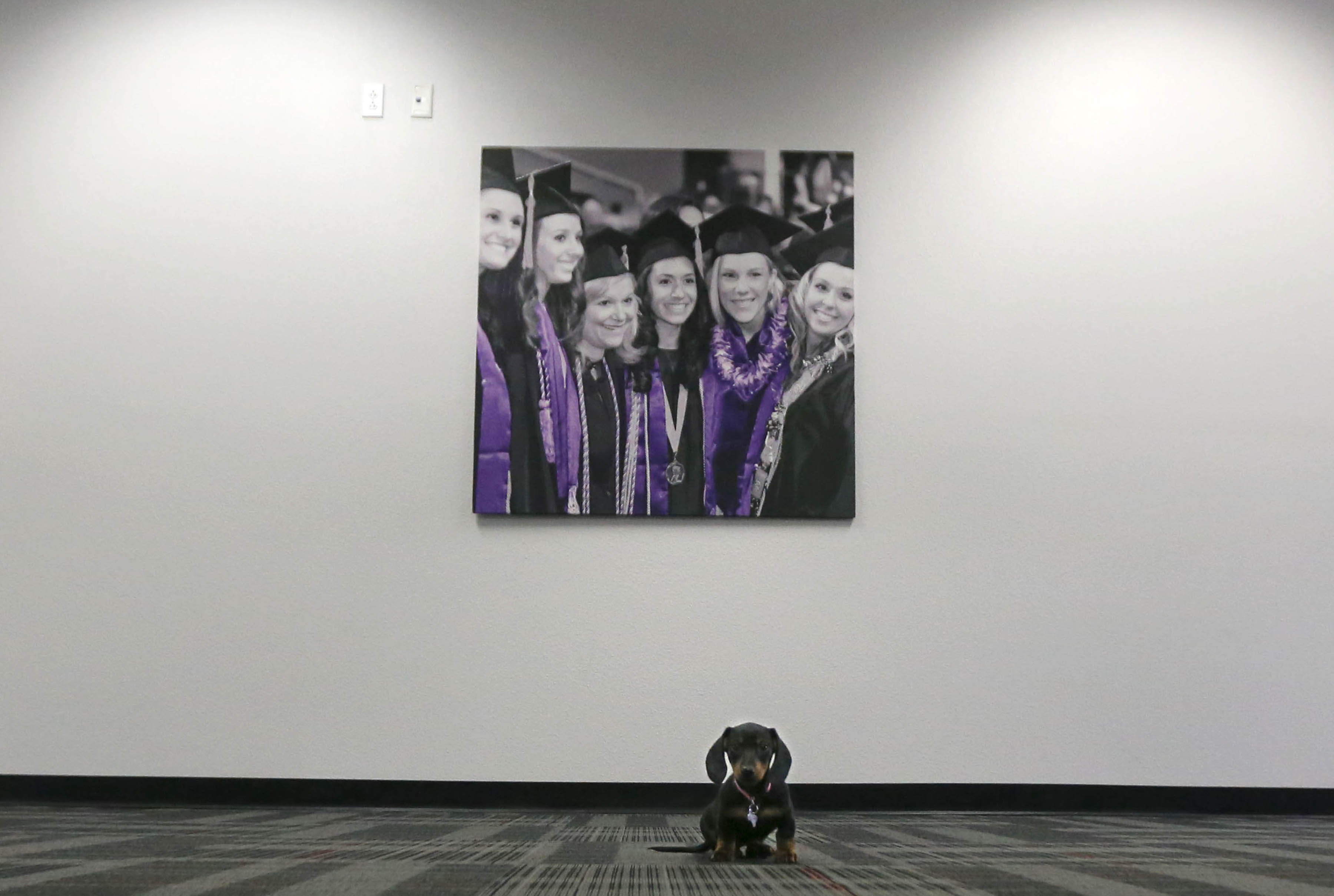 The GCU year in pictures for 2015 - GCU News