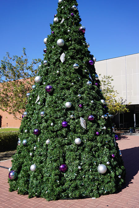 Main campus adorned in Christmas glory - GCU News