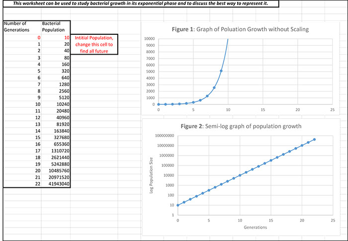 Math lesson a plus for microbiology students - GCU News