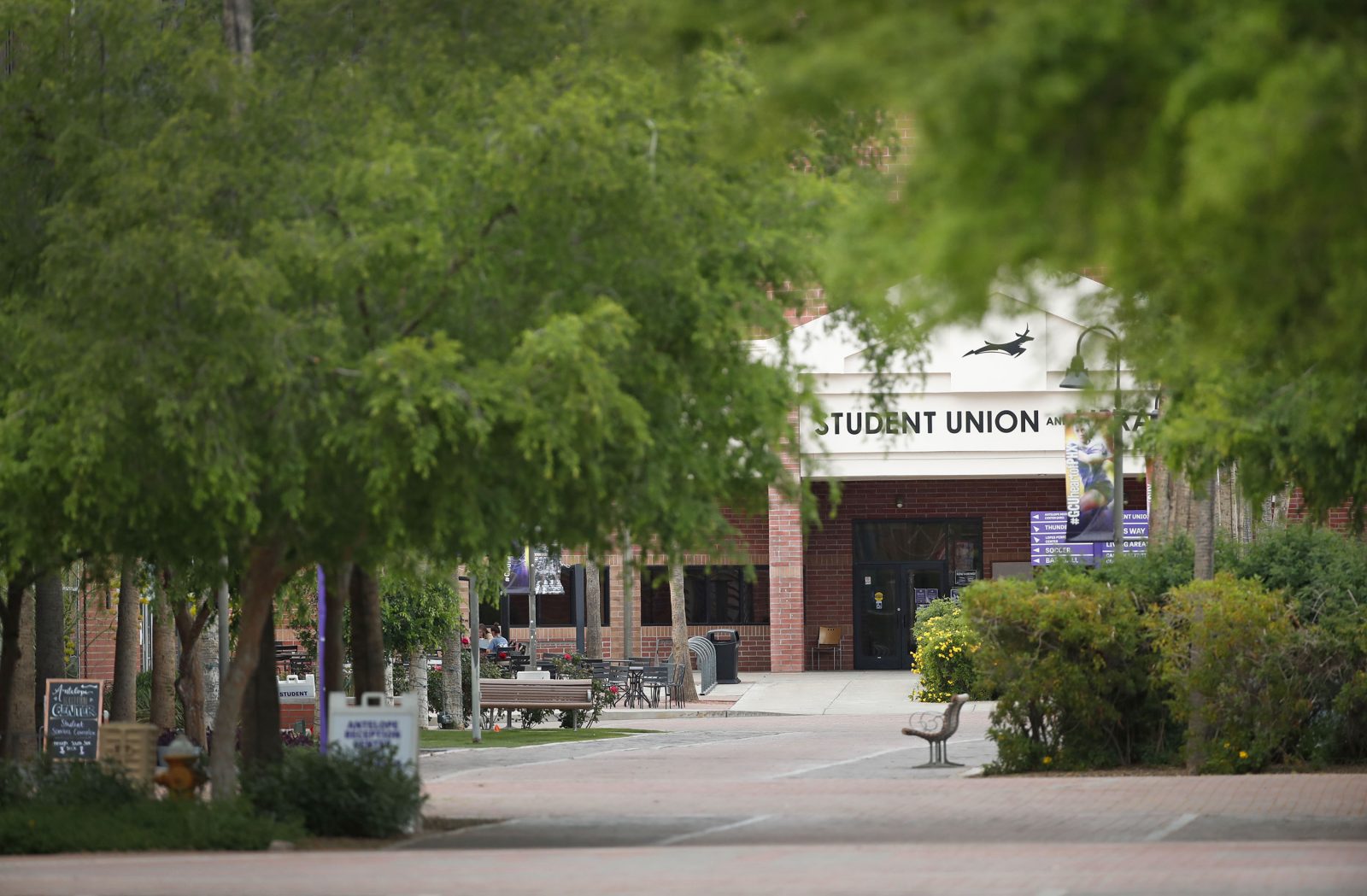 Slideshow: Beauty amid stillness of campus - GCU News