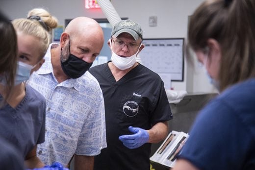GCU Anatomy students collaborate with grad school - GCU News