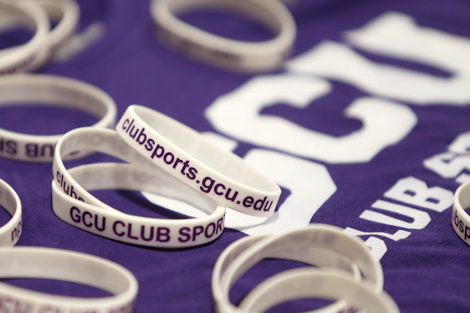 Slideshow: Club and Community Fair - GCU News