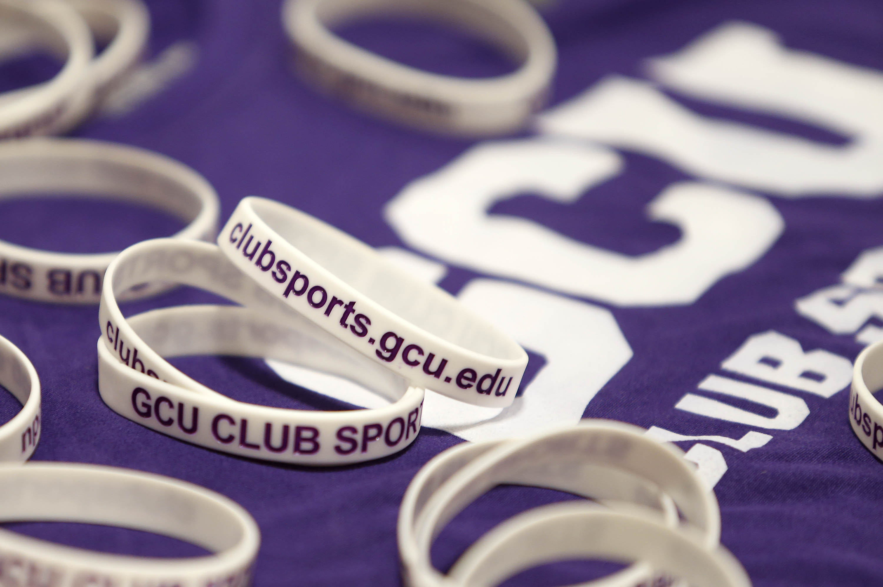 Slideshow: Club and Community Fair - GCU News