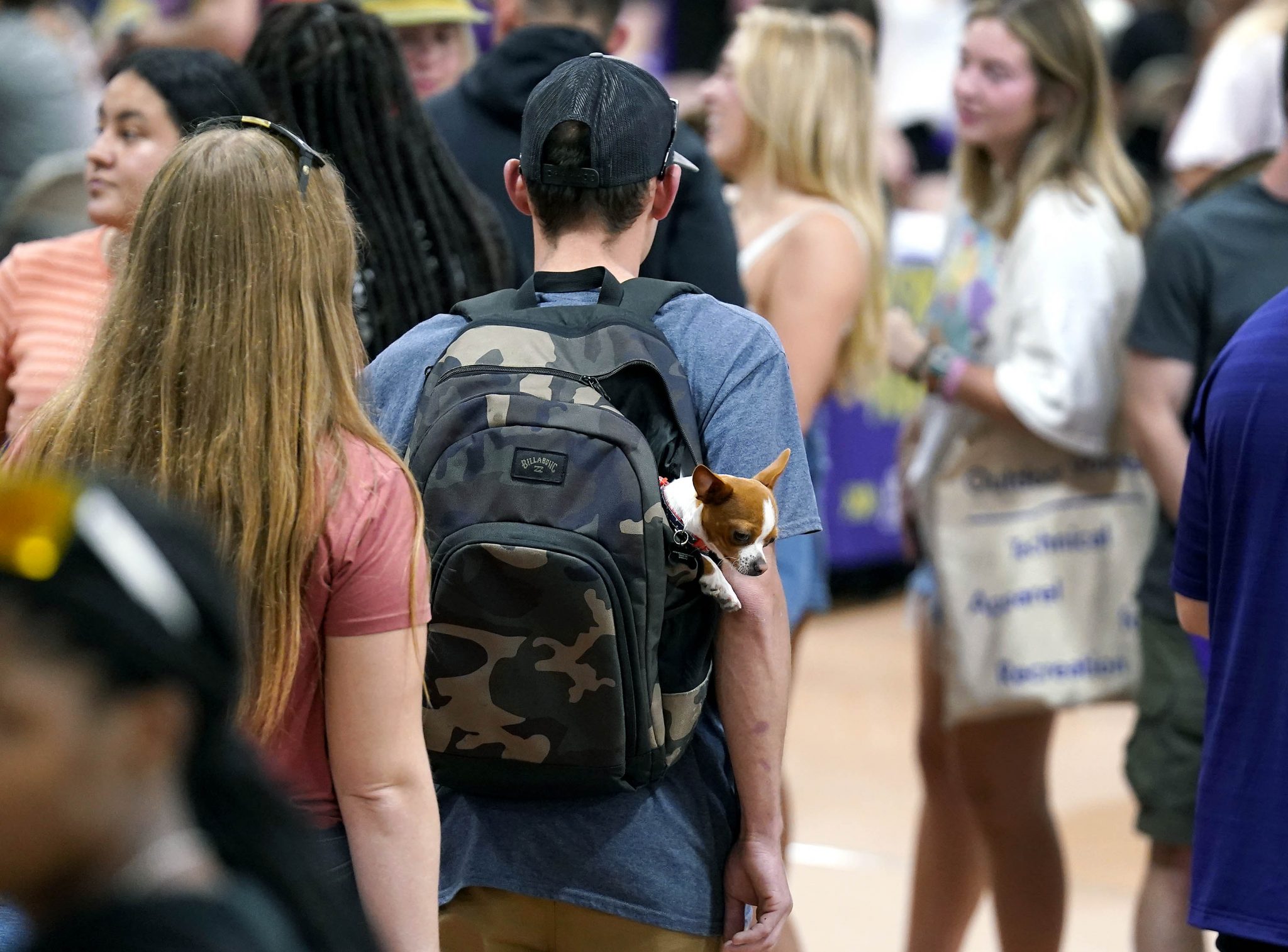 Club and Community Fair - GCU News