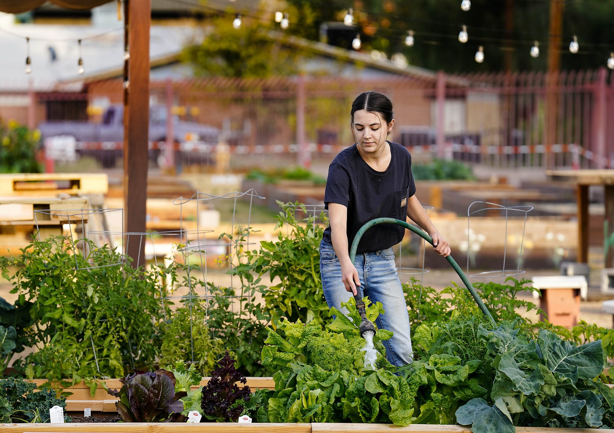 Outdoor Recreation Campus Garden - GCU News
