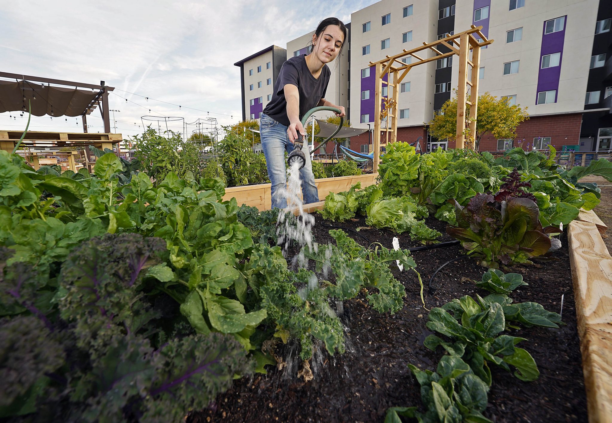 Outdoor Recreation Campus Garden - GCU News