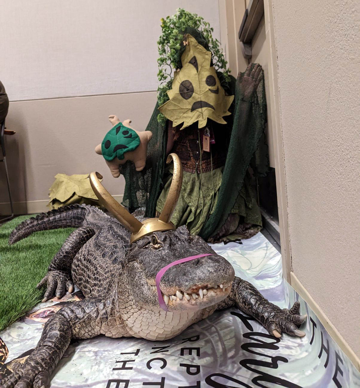 She blinded them with science at Fan Fusion's Discovery Lab - GCU News