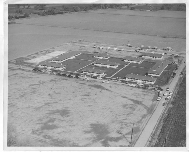 75th anniversary book showcases GCU's unique history - GCU News