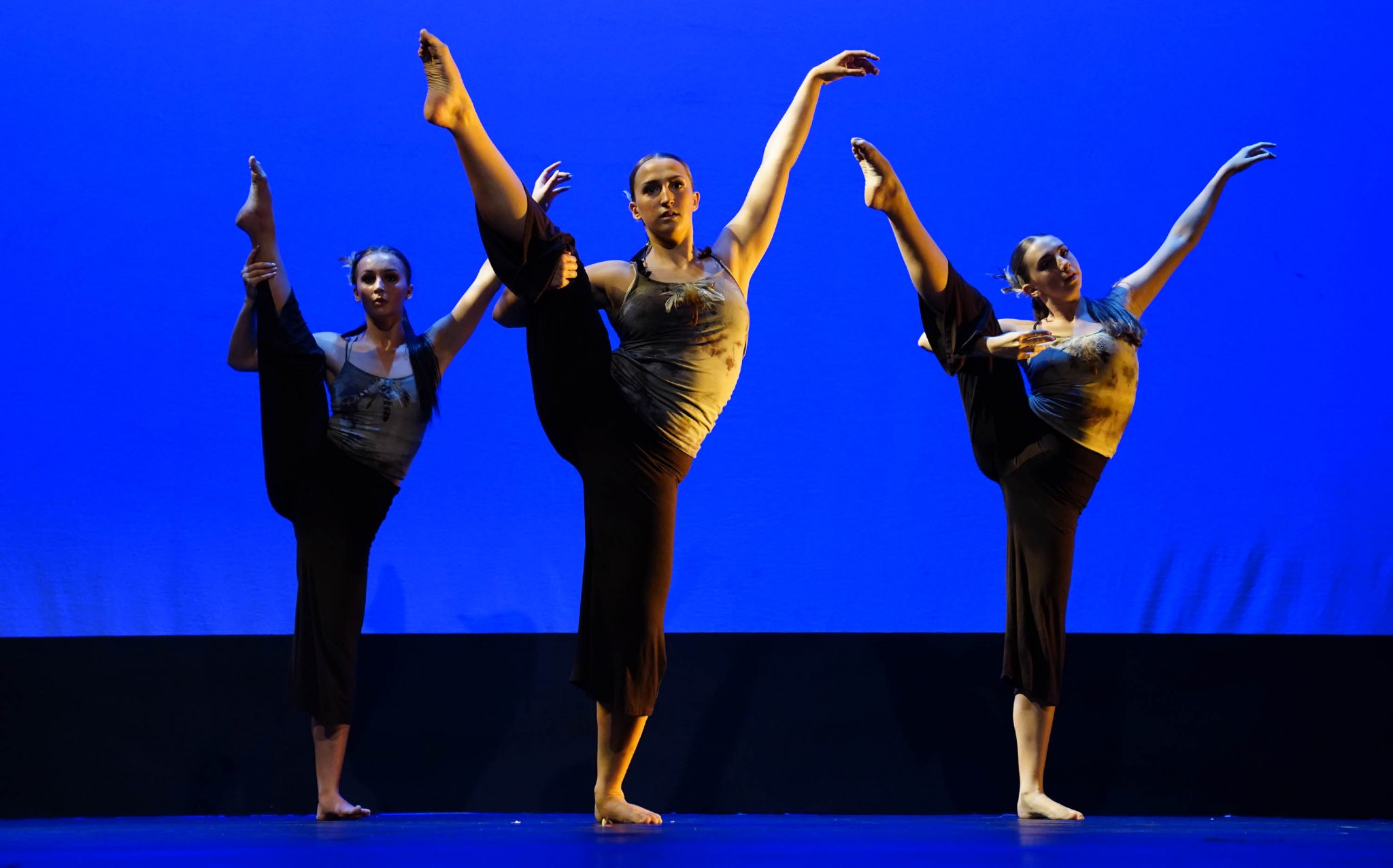 'Odyssey' Winter Dance Showcase - GCU News