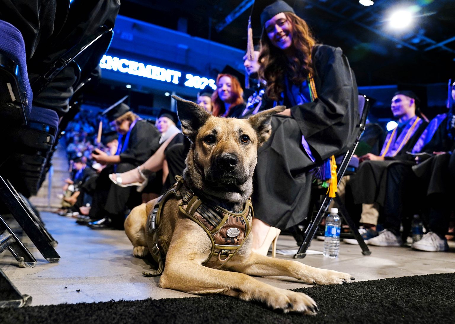Winter 2023 Commencement, 2 p.m. ceremony - GCU News