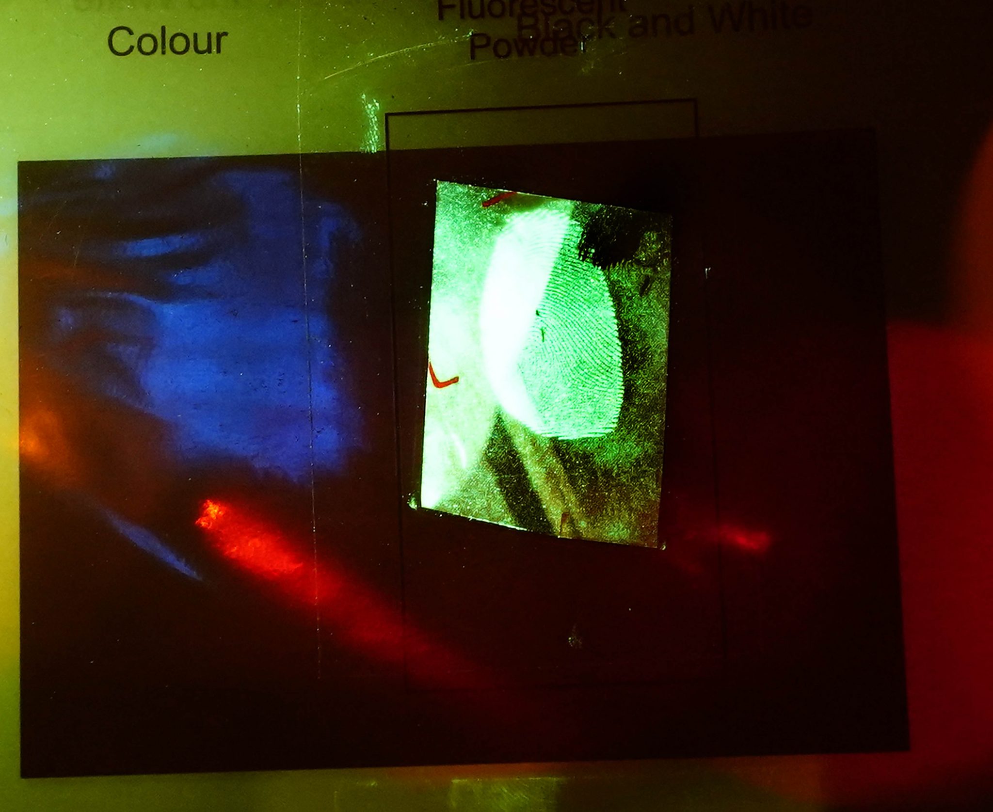 Forensic Science Day 2024 - GCU News