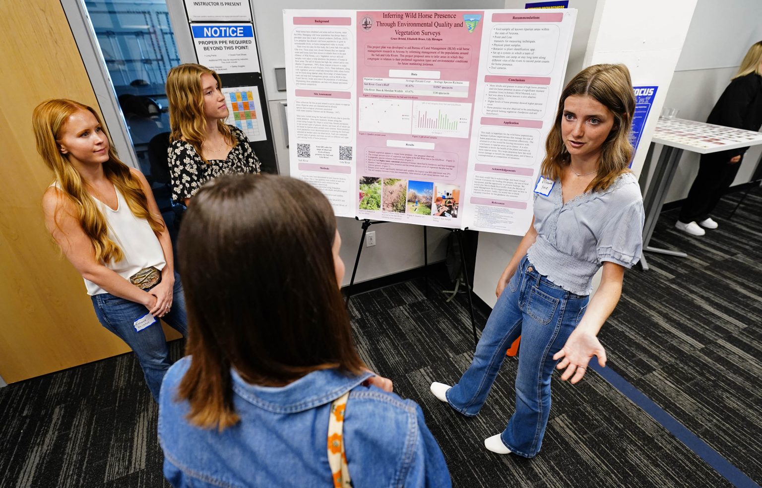 Where the wild horses hang out – and other natural sciences projects ...