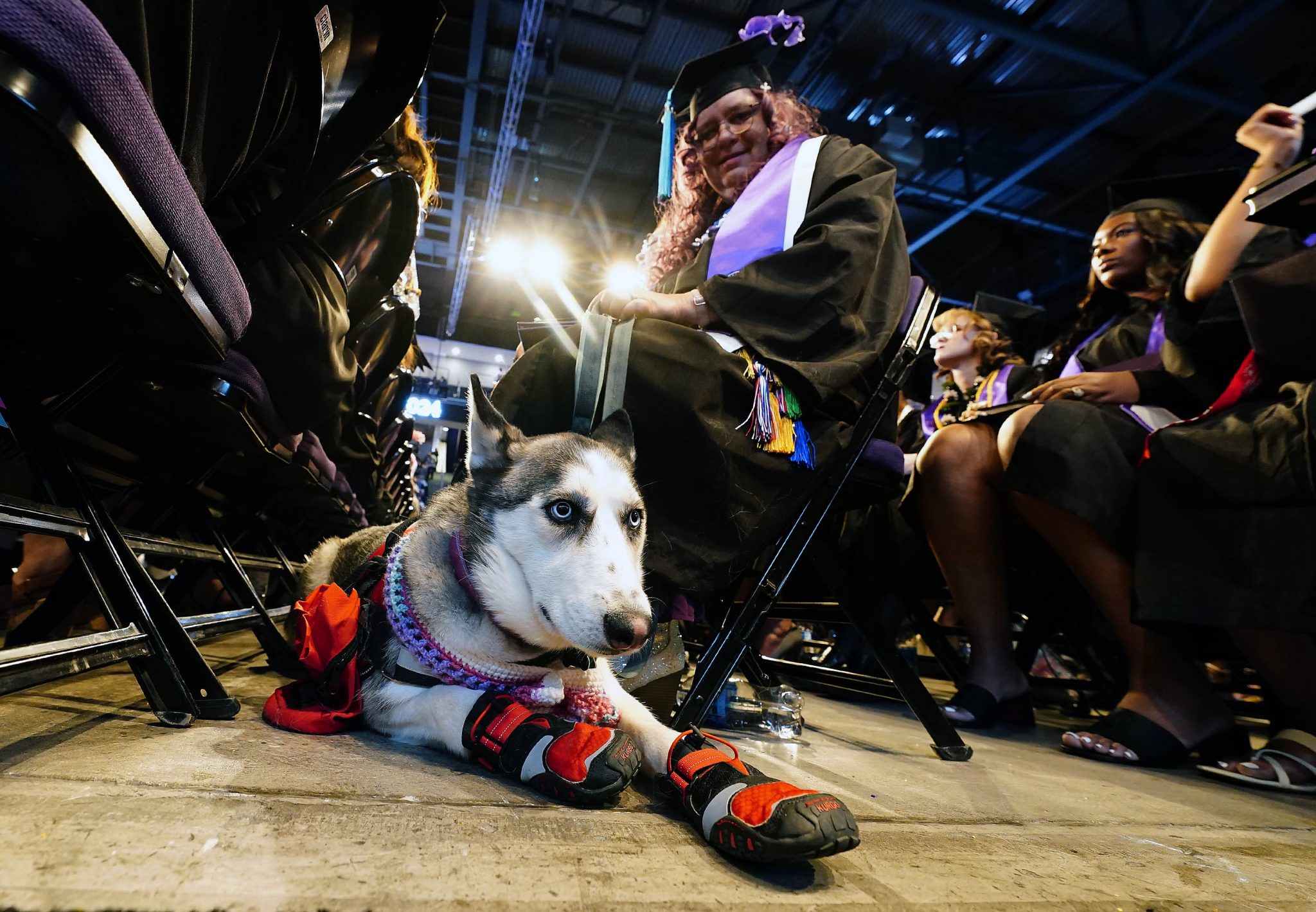 Spring 2024 Commencement (online/cohort): Wednesday afternoon - GCU News