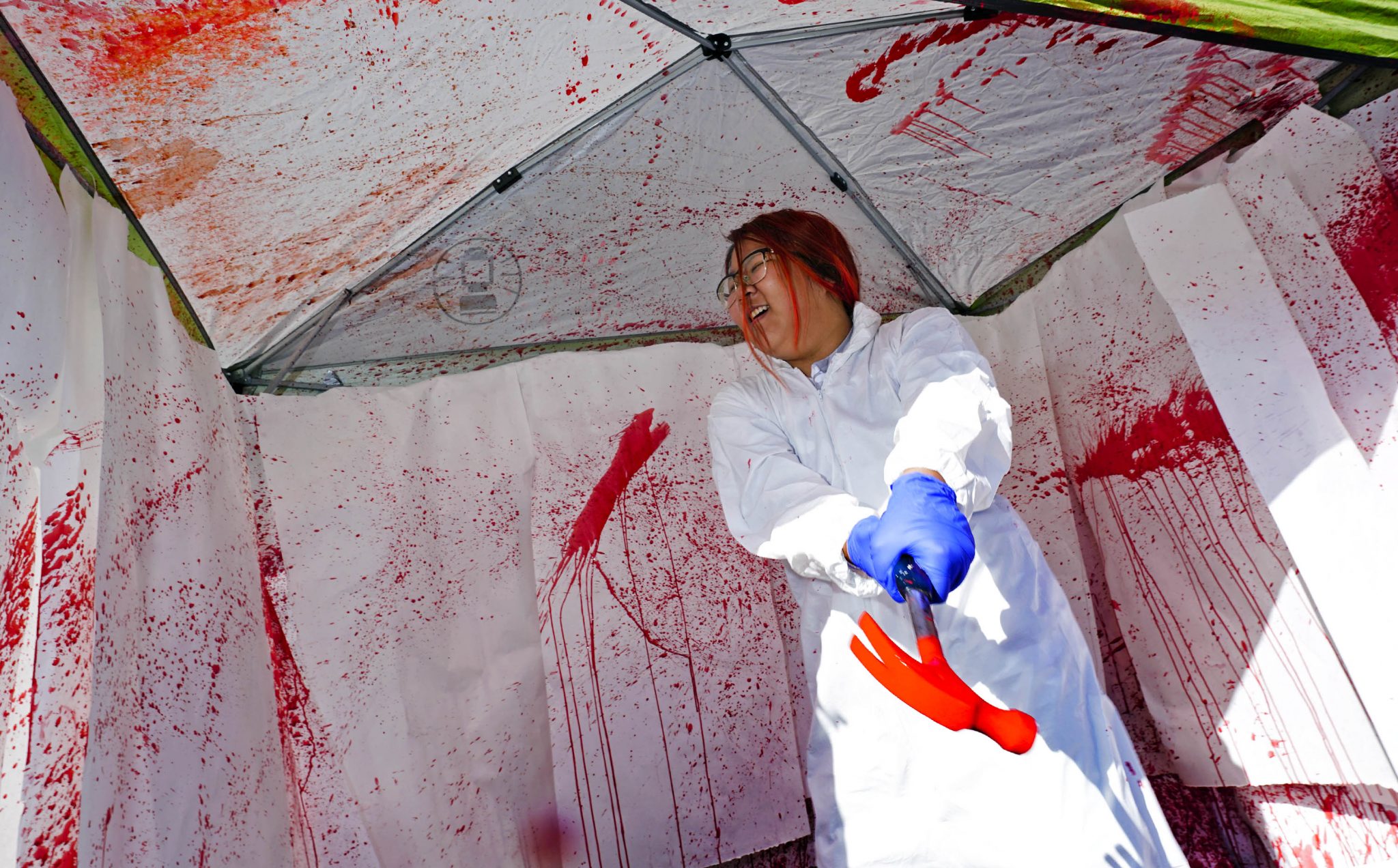 The final analysis? GCU's Forensic Science Day one engaging event - GCU ...