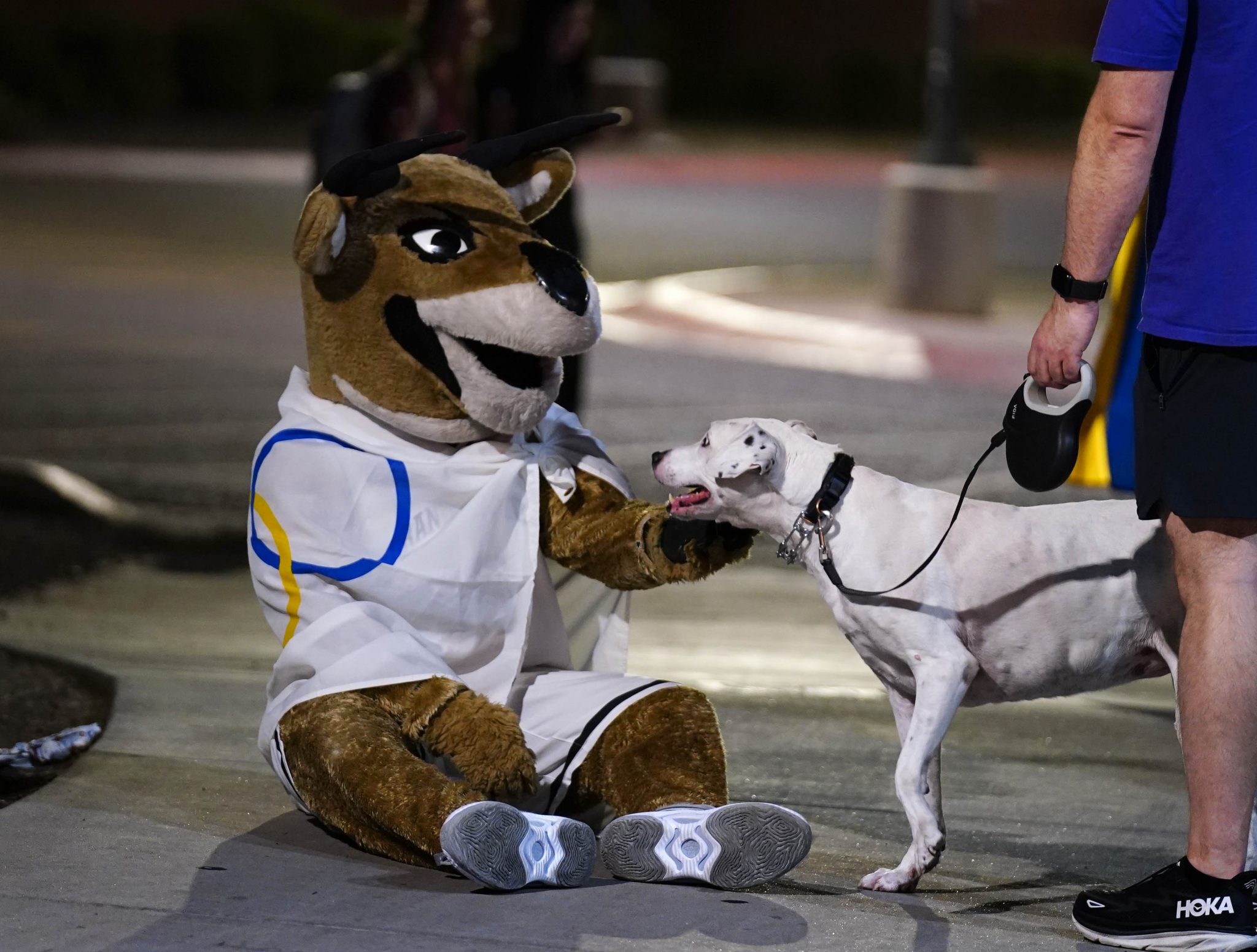 Multicultural Life's Unity Walk - GCU News