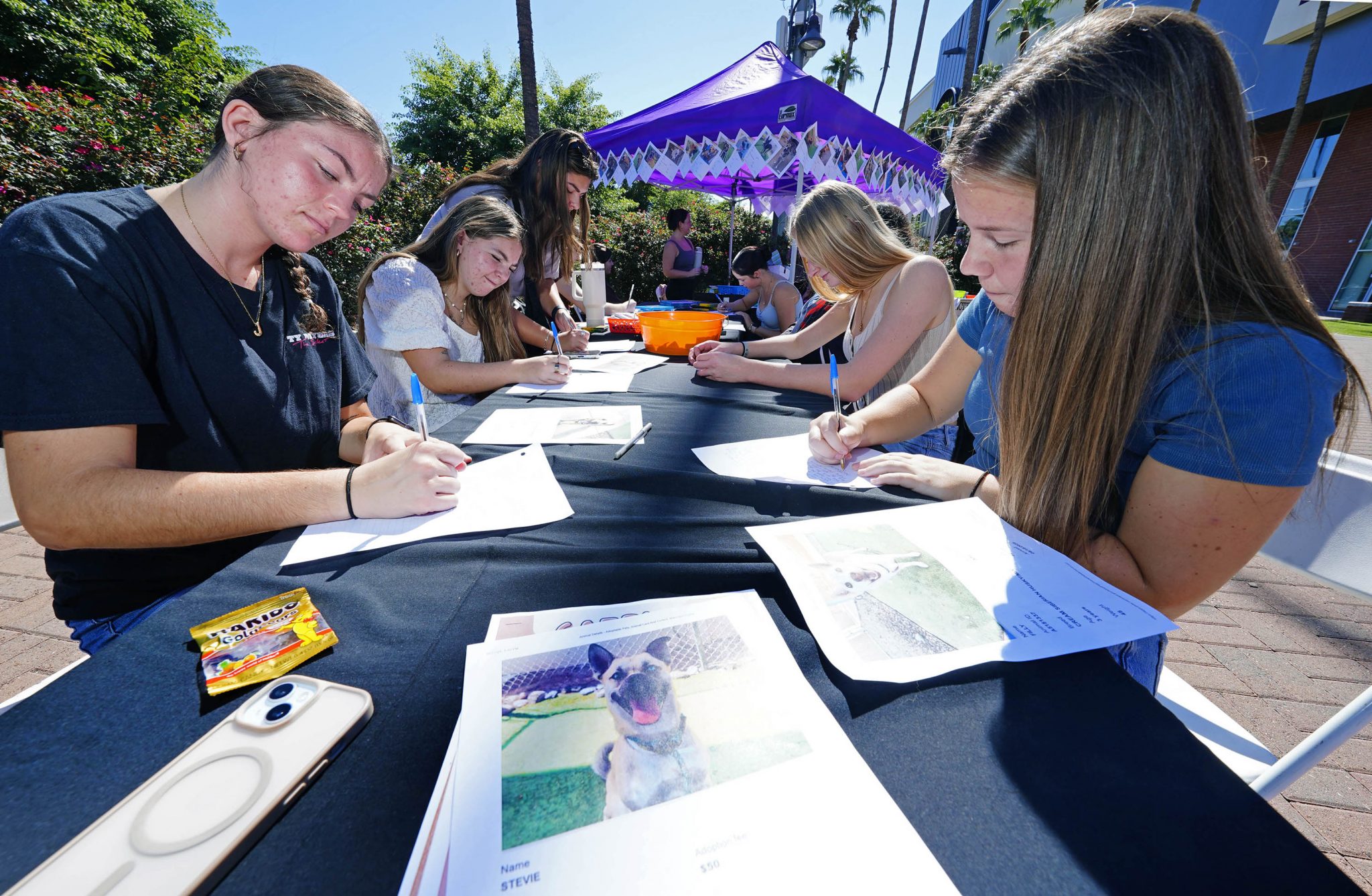 Day on writing shows value of words ... in so many words - GCU News